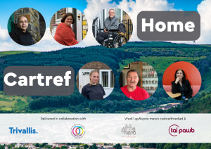 Home Page - Trivallis